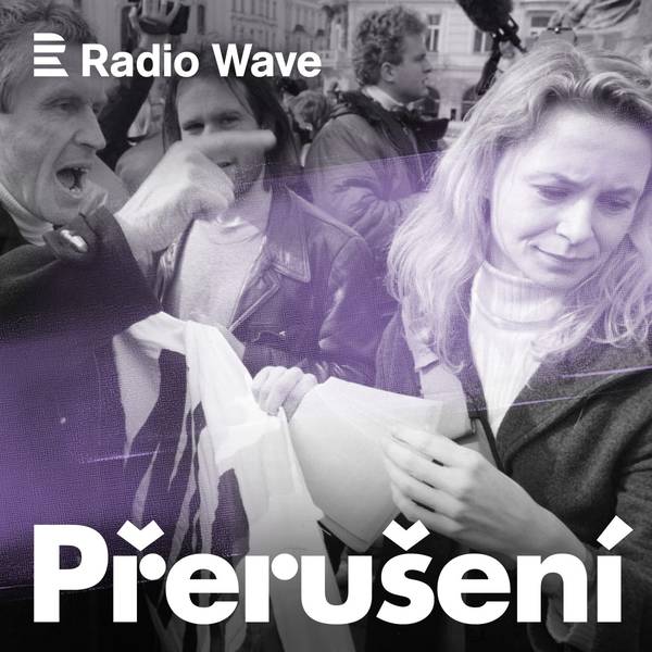 Přerušení: „Dítě není slepé střevo.“ Kdo interrupce v Česku hájí a kdo je proti nim? - Český ...